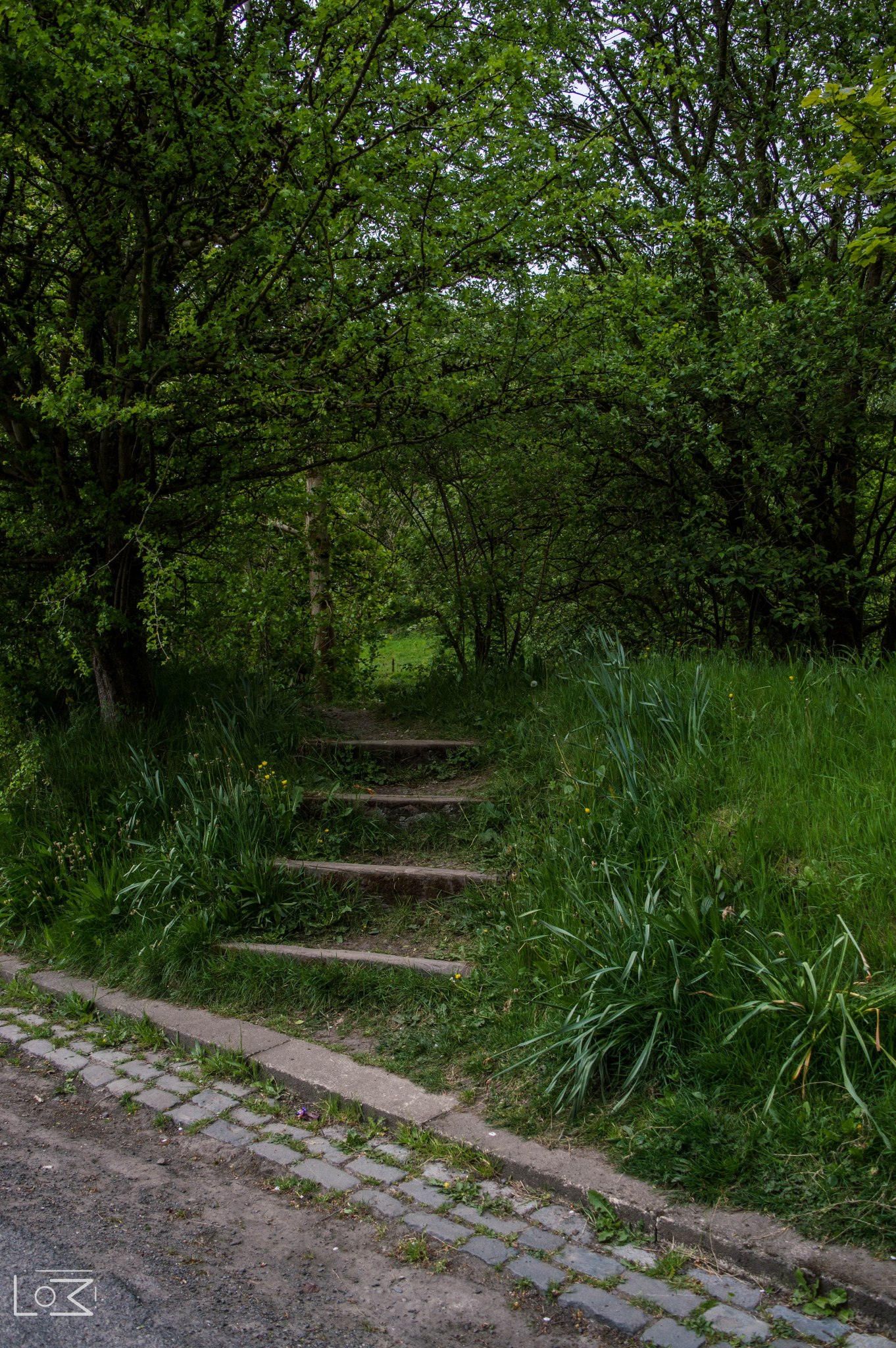 Irwell Riverside Walk – Lancashire Walks