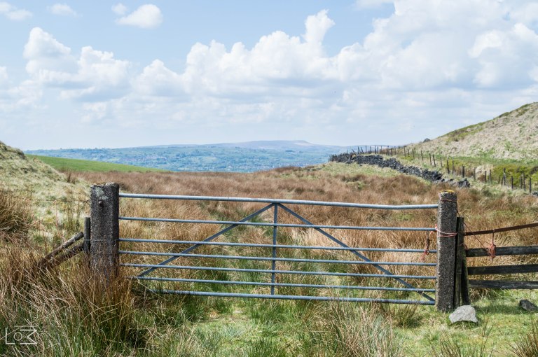 Lancashire Walks – Discover Lancashire's best walks. For families, day ...