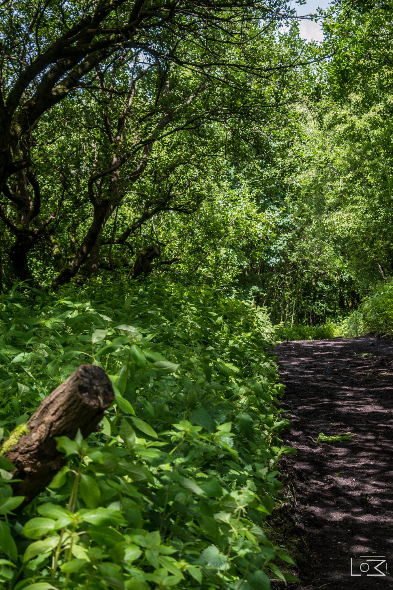 Marl Pits Hillside Hike – Lancashire Walks